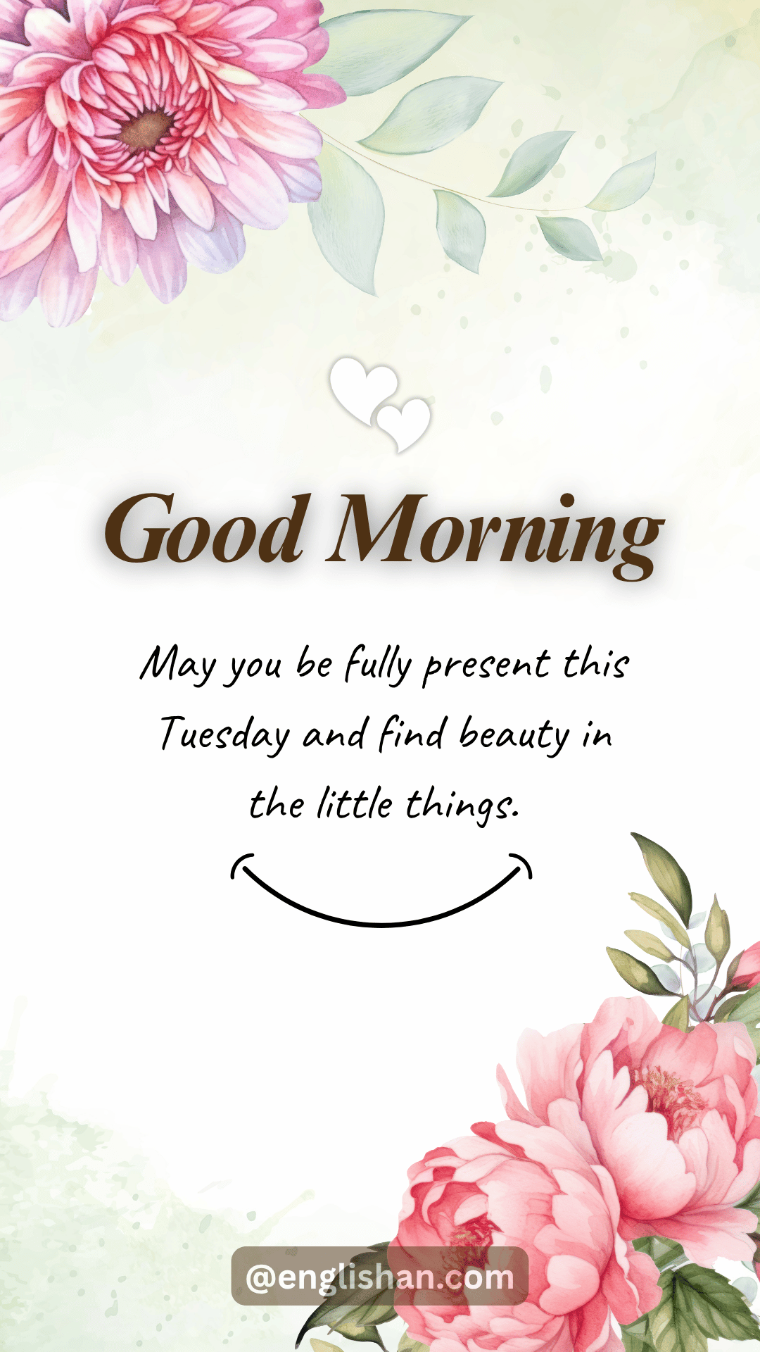 50 Beautiful Tuesday Good Morning Wishes with Images 2025