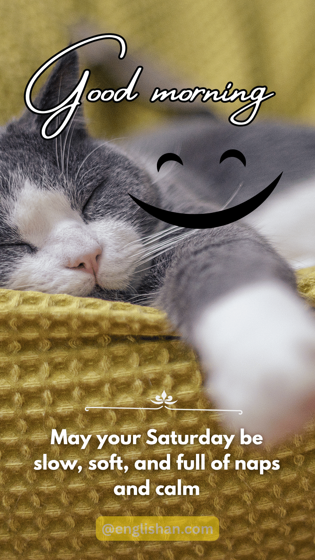 50 Heartfelt Saturday Good Morning Wishes with Images