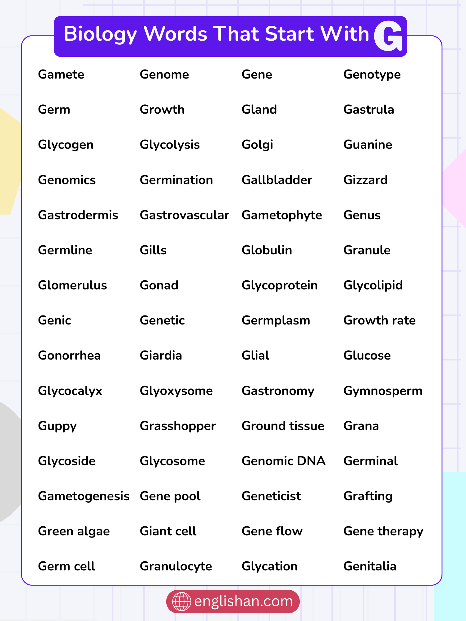 42 Biology Words That Start With G Including Cells Plants
