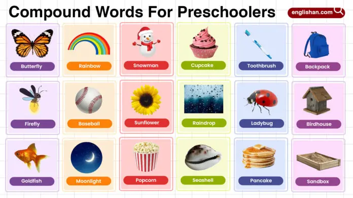 330 Compound Words for Preschoolers in English