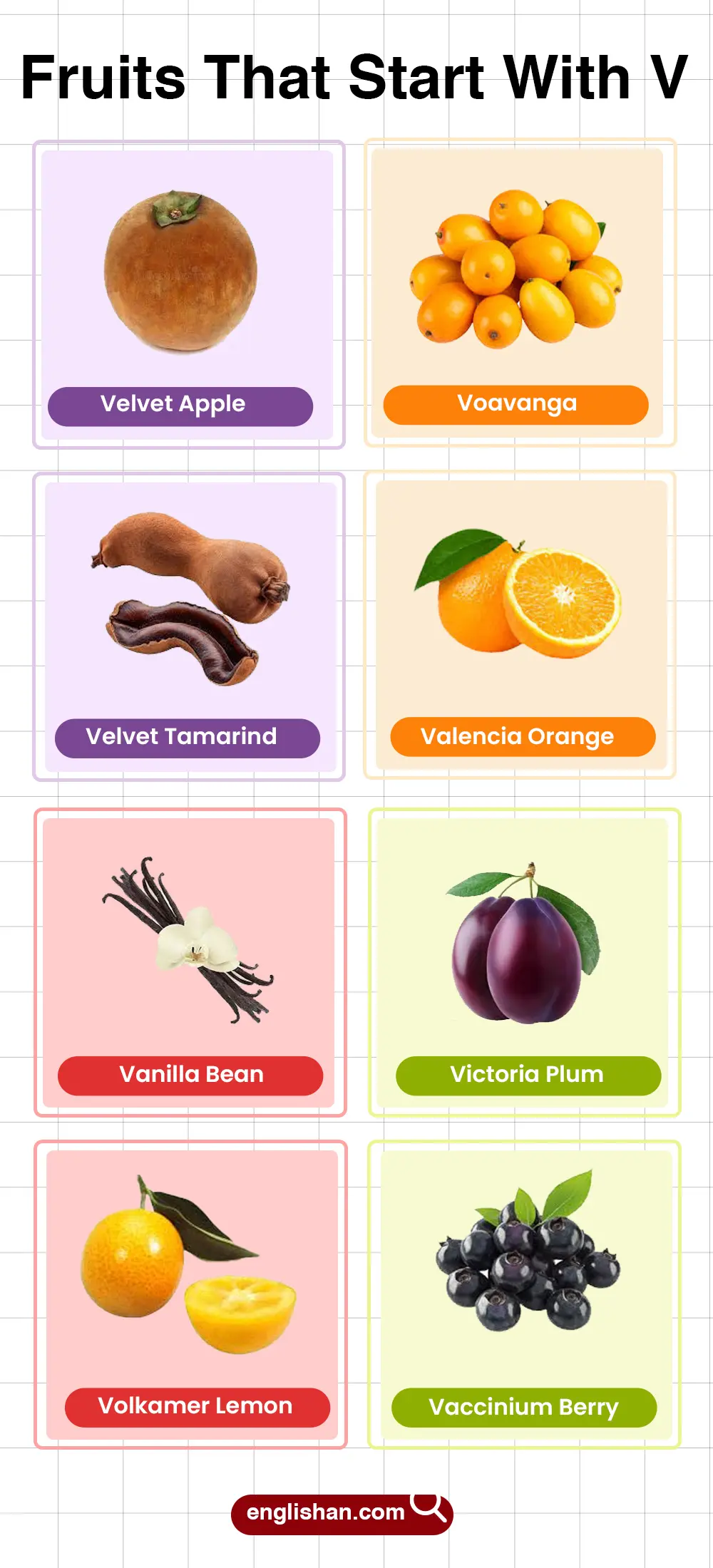 125 Fruits That Start With V Complete List