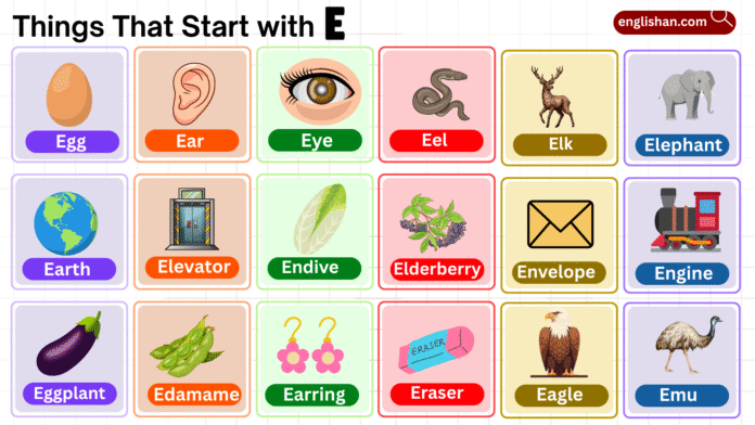 300 Things That Start with E – Foods, Animals, Objects List