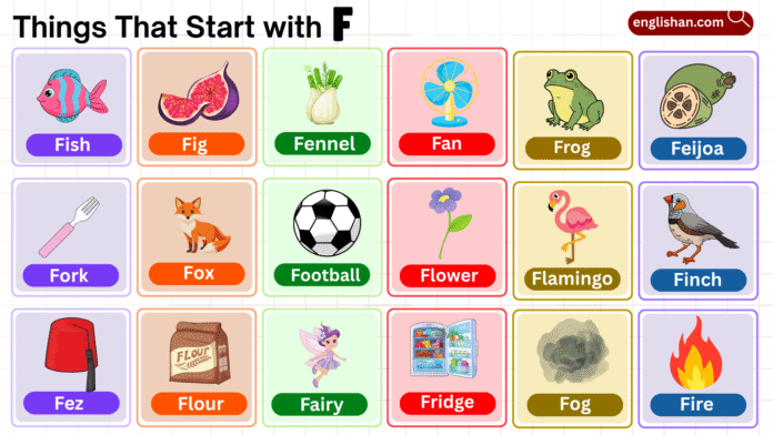 600 Things That Start with F – List of Foods and Animals