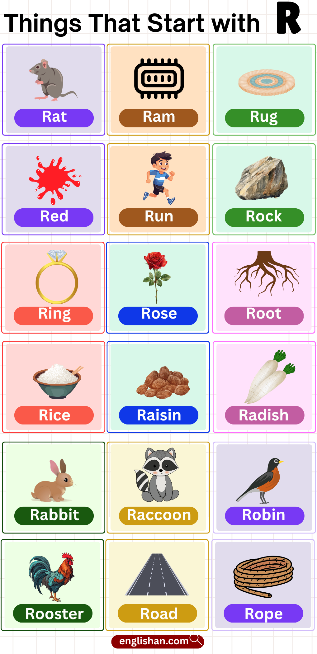 250+ Things That Start with R – Foods, Animals, Objects List
