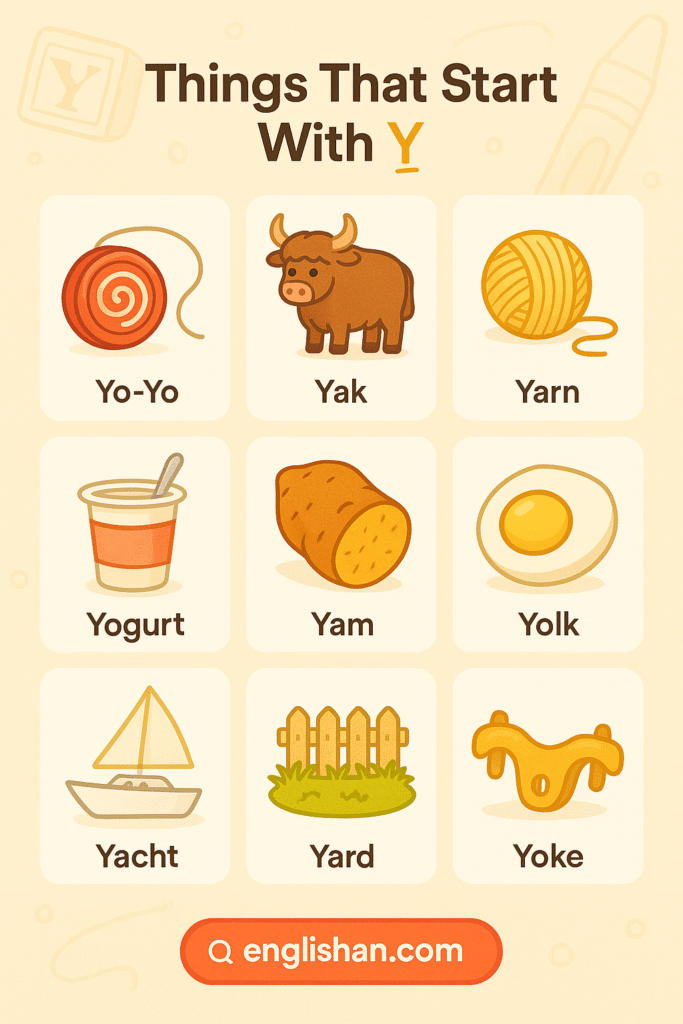 Things That Start with Y – List of 520 Objects with Pictures