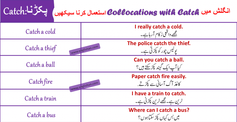 Collocations Definition, Rules with their Examples| Englishan