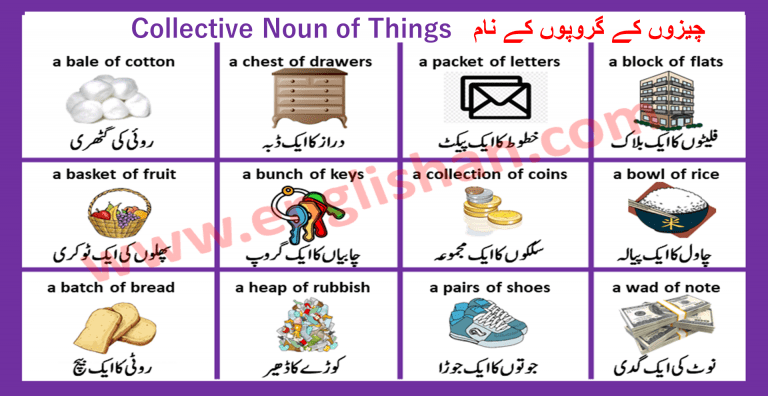 100 Examples of Collective Nouns List PDF [Things, Animals and Persons]