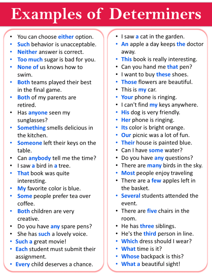 What Are Determiners? Learn Their Types and Usage