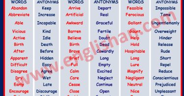 100 Homonym Words List with Sentences - Englishan