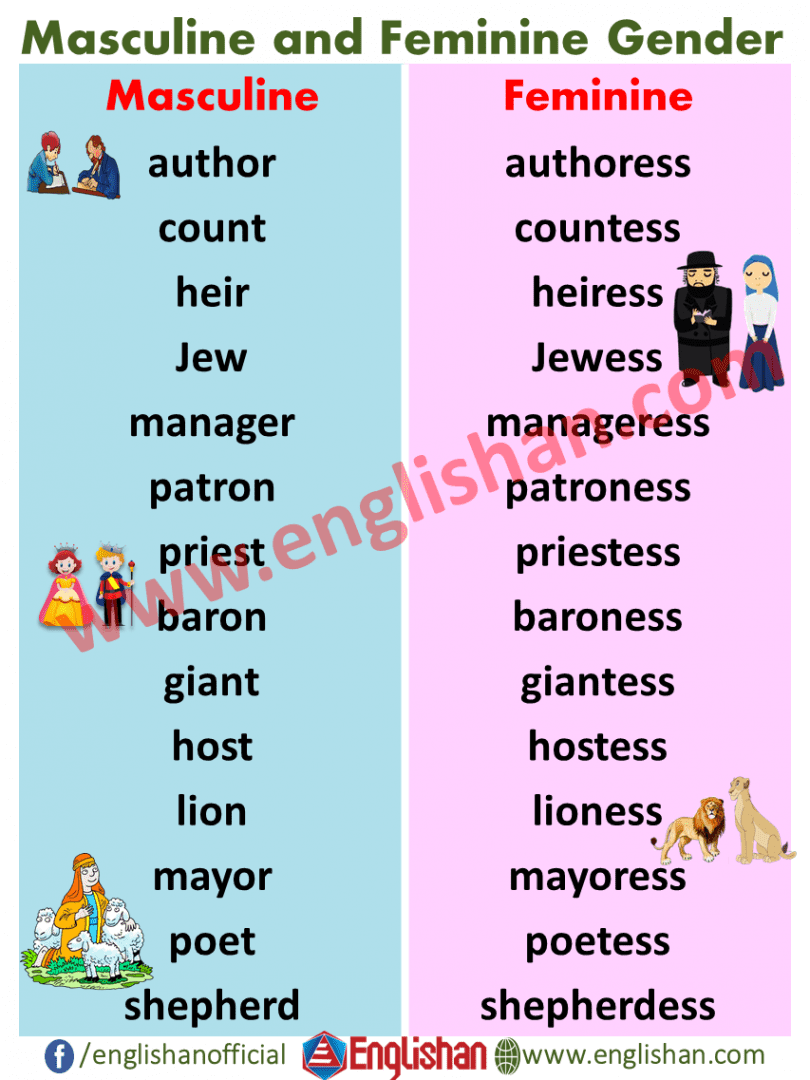 100 Examples of Masculine Feminine Gender List • Englishan