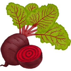 100 Vegetables Names in English with Pictures
