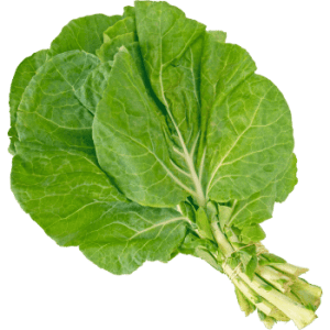 100 Vegetables Names in English with Pictures