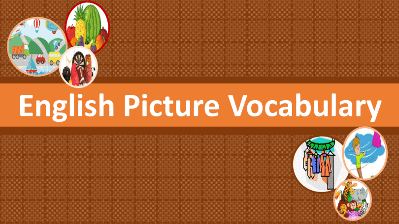 English Picture Vocabulary with PDF