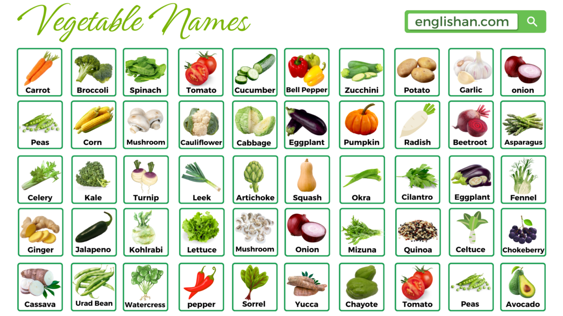 Vegetables Names in English with Pictures • Englishan