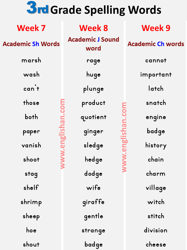 3rd Grade Spelling Words List PDF