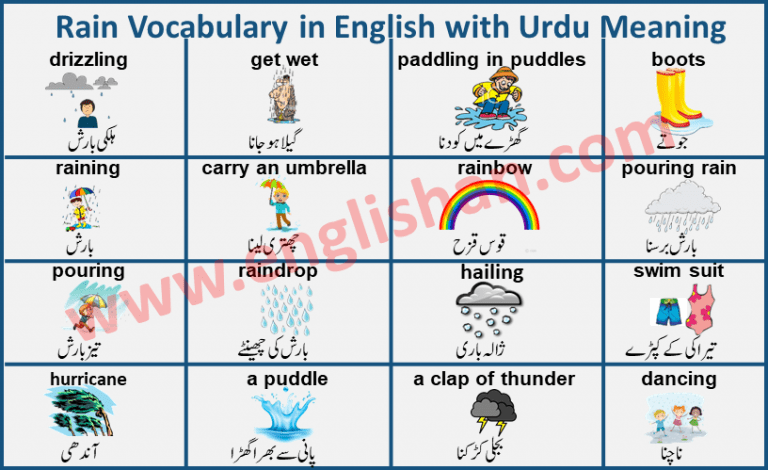 Rain Vocabulary with Picture and Flashcards
