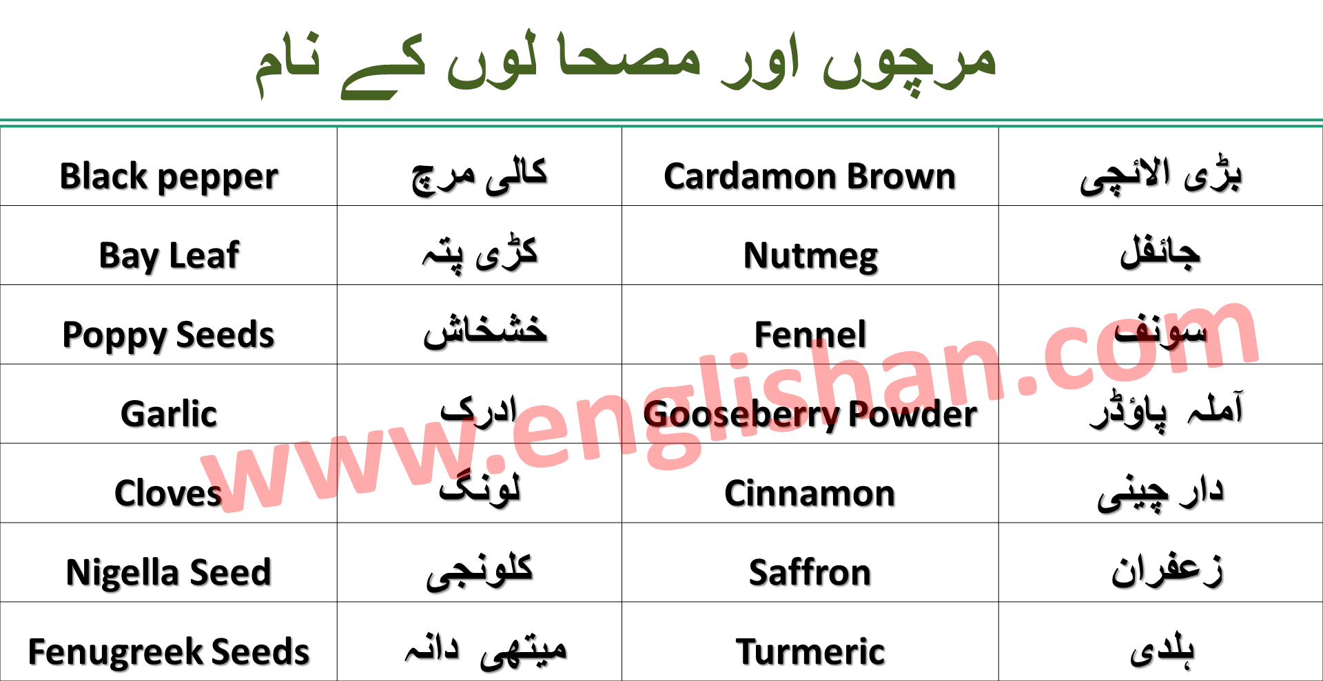 Herbs and Spices Vocabulary in Urdu To English