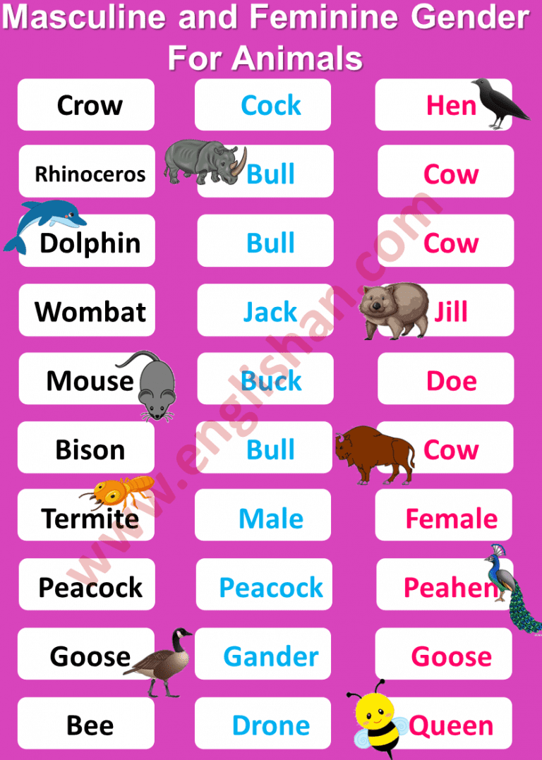 Masculine and Feminine Gender of Animals List