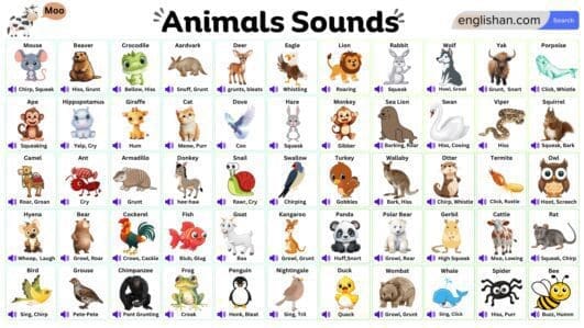 105 Animal Sounds in English with Pictures
