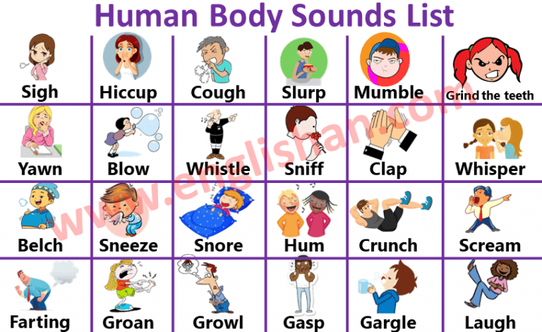 Human Body Sounds List in English • Englishan