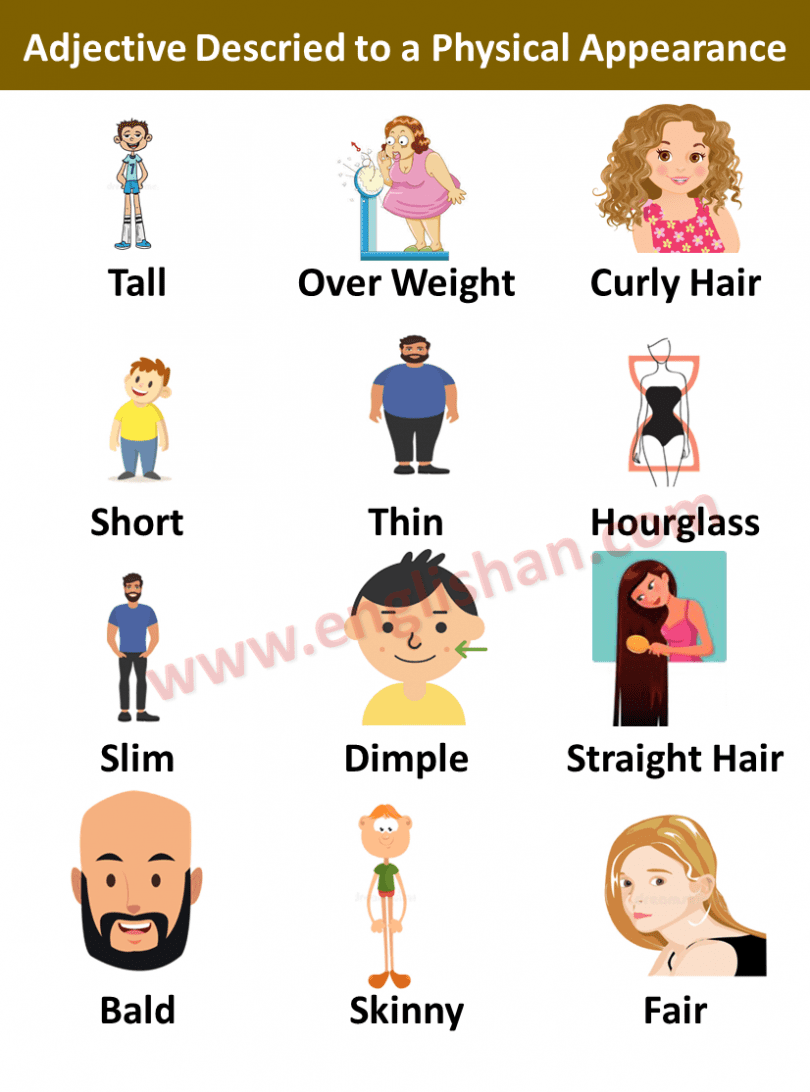 Adjectives to Describe a Person with Example Sentences • Englishan