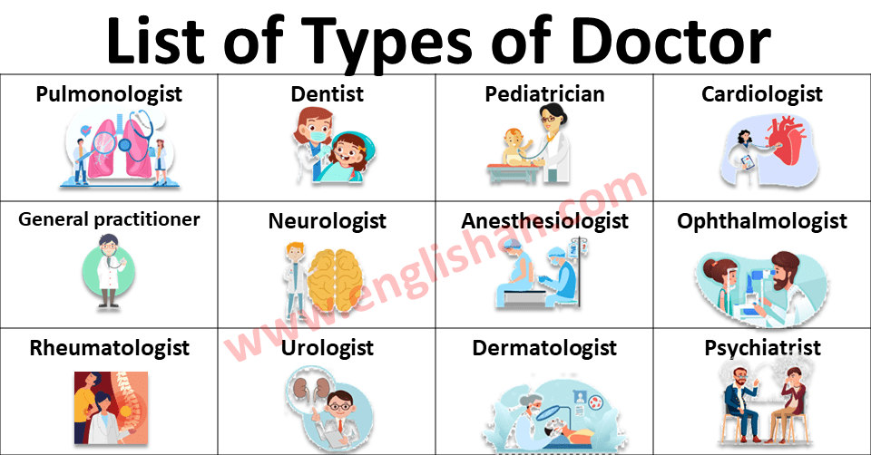 Types of Doctor's Specialization List with Meanings | Englishan