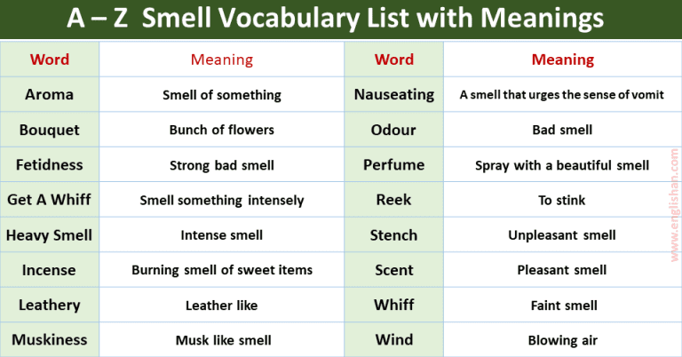 Adjectives For Smell with Meninges and Sentences • Englishan