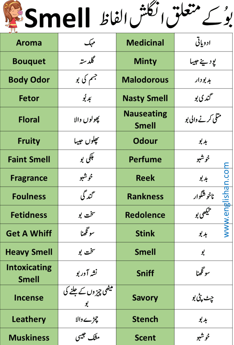 Adjectives For Smell with Meninges and Sentences • Englishan