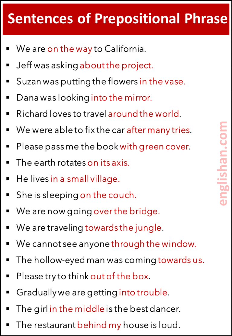 Types of Phrases and Examples in English