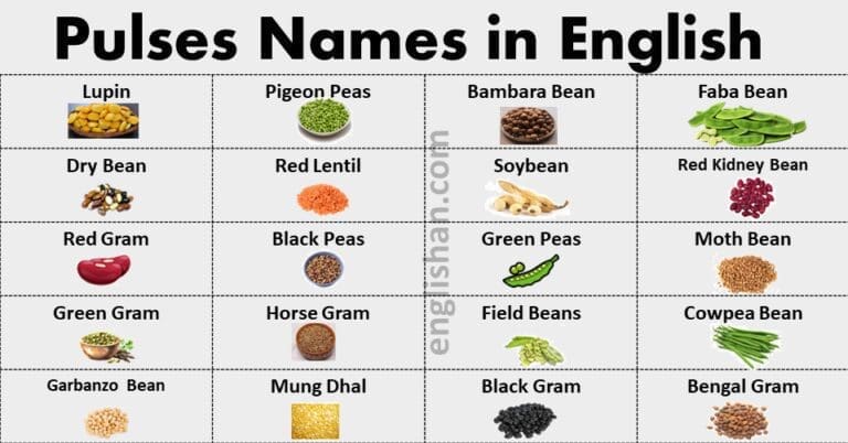 All Pluses Name in English With Pictures • Englishan