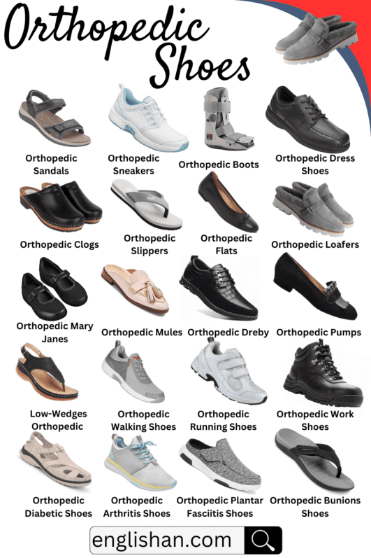 60+ Types of Shoes with Names and Pictures • Englishan