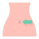 Parts of Body Name in English with Visuals • Englishan