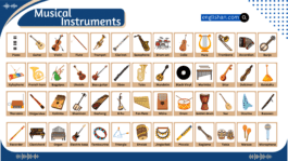 Musical Instruments Names with Infographics