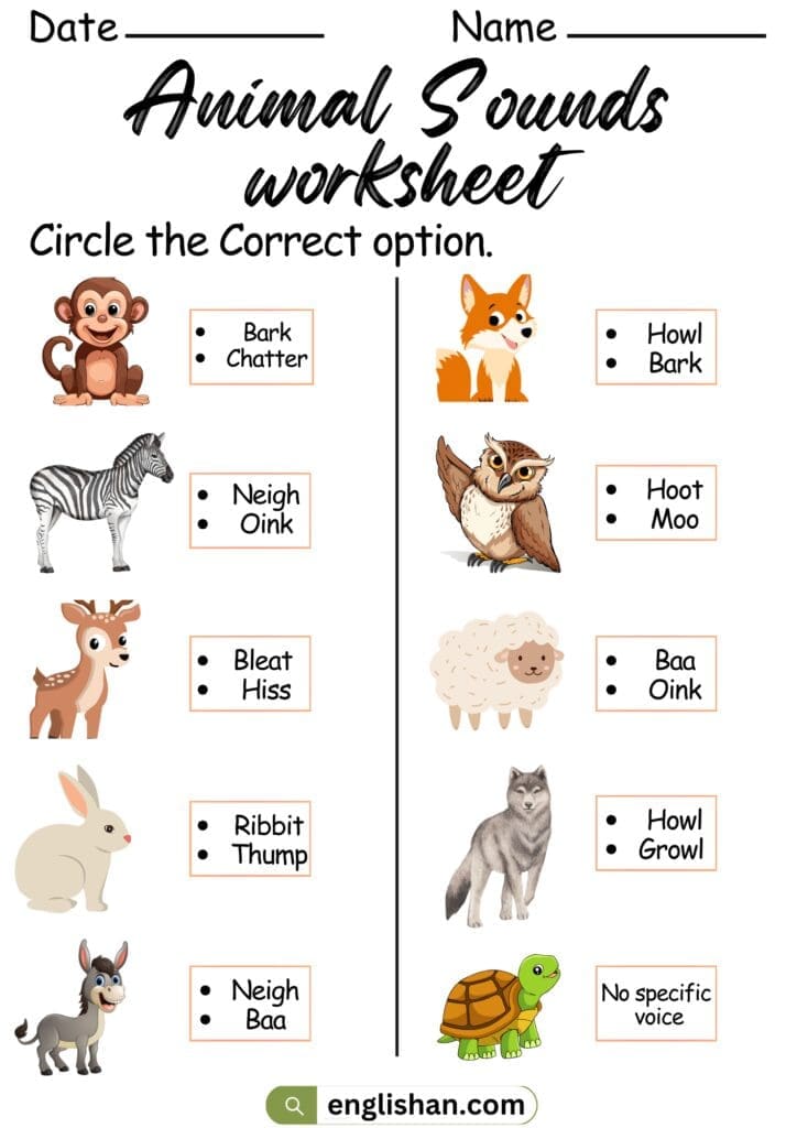 Animal Sounds Worksheet in English • Englishan