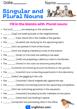 Singular and plural Nouns Worksheets and Exercises with Answers