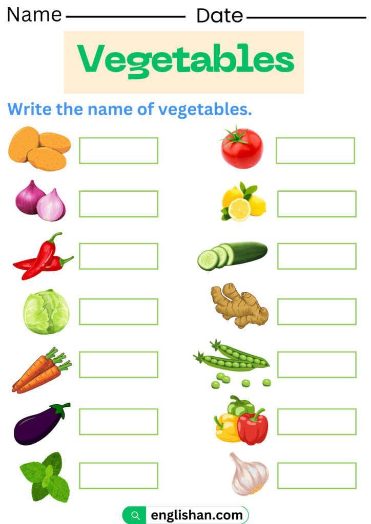 Vegetables Worksheets and Exercises with Answers in English • Englishan