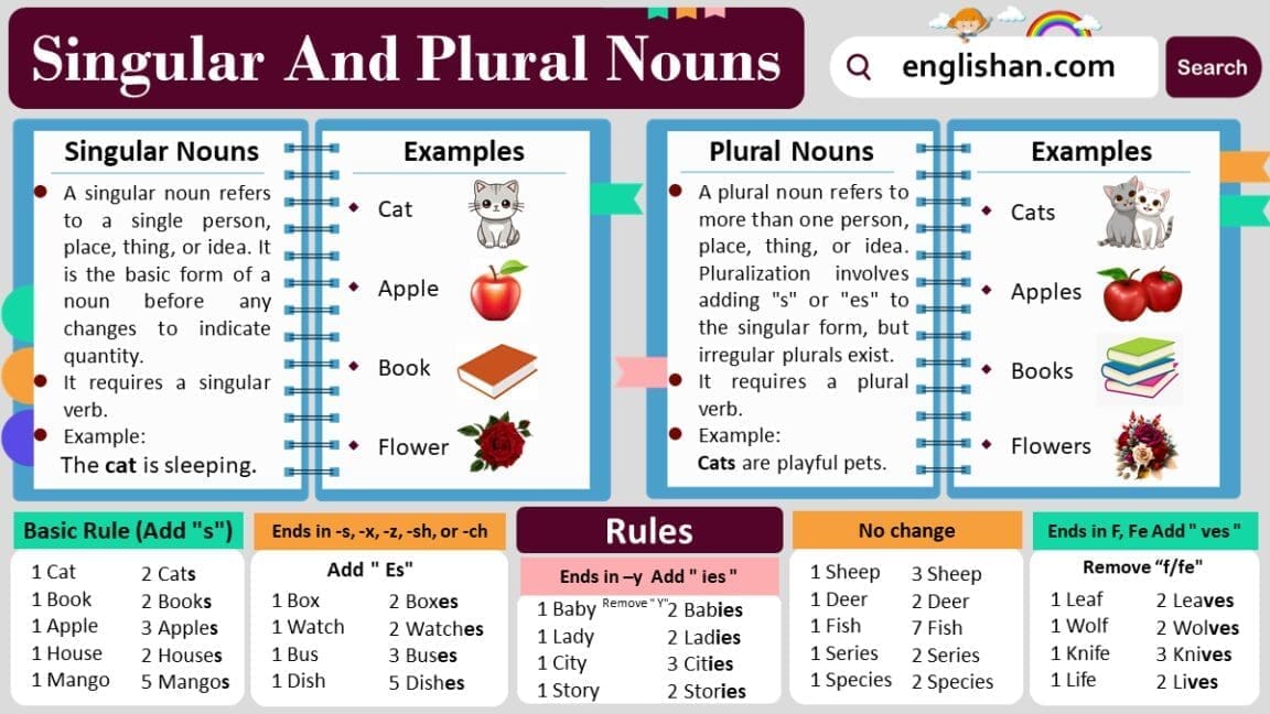 Singular and Plural Nouns with Rules and Examples • Englishan