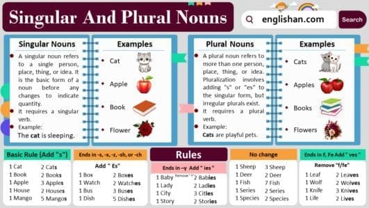 Singular and Plural Nouns with Rules and Examples • Englishan