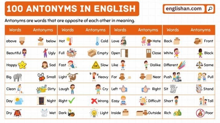 100 Important Antonyms in English with Examples • Englishan