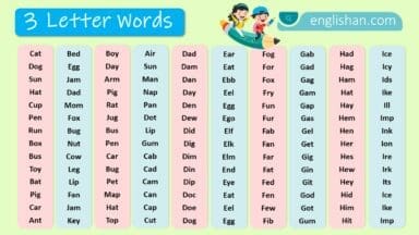 3 Letter Words In English with Examples • Englishan