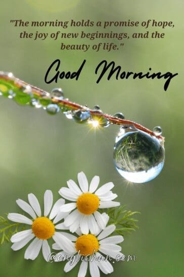 100+ Ways to Say Good Morning in English • Englishan