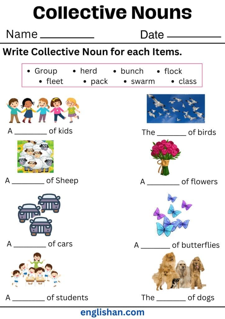Collective Nouns Worksheets with Answers in English