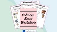 Collective Nouns Worksheets with Answers in English