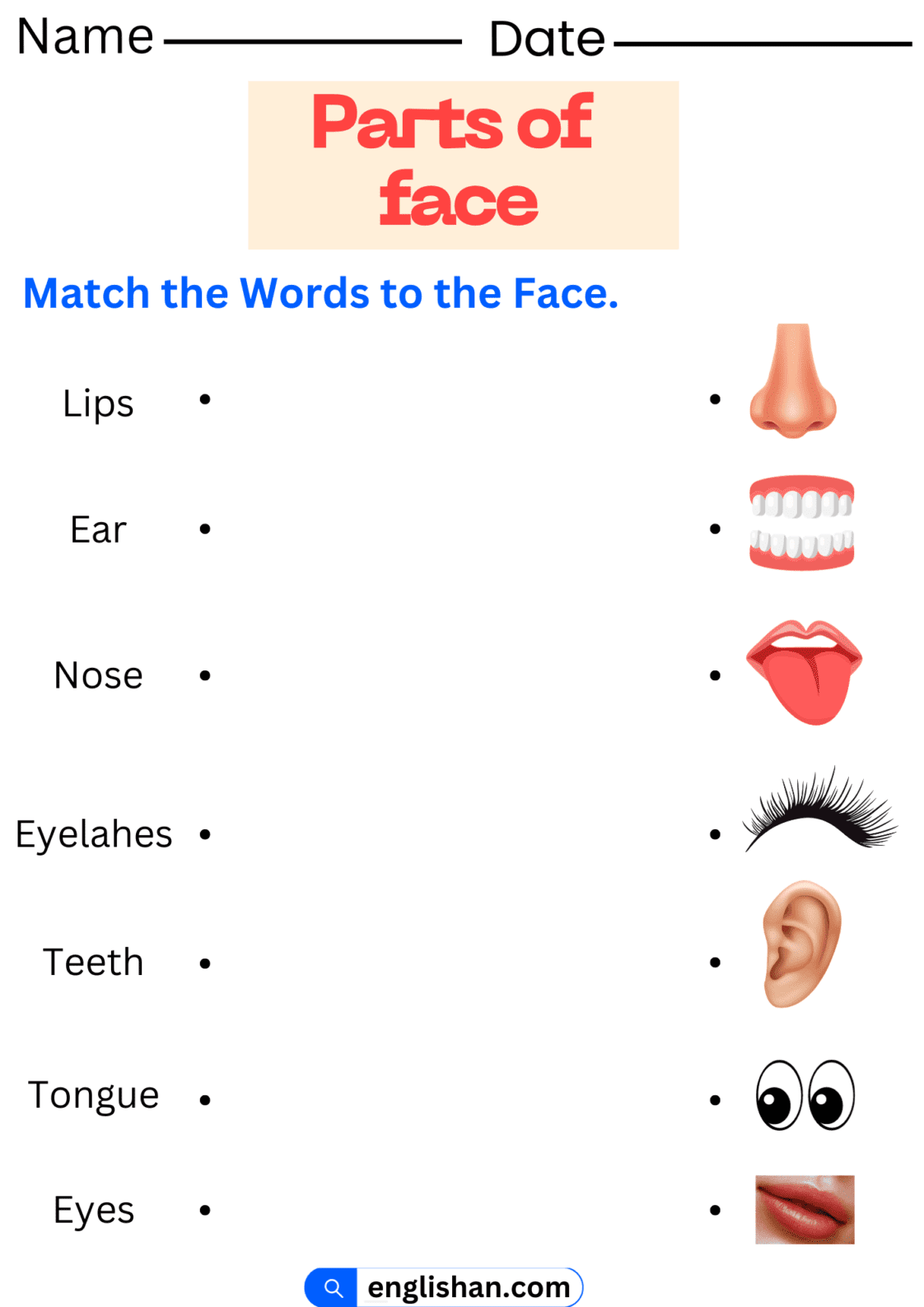 Parts of Face Worksheet and Exercises with Answers