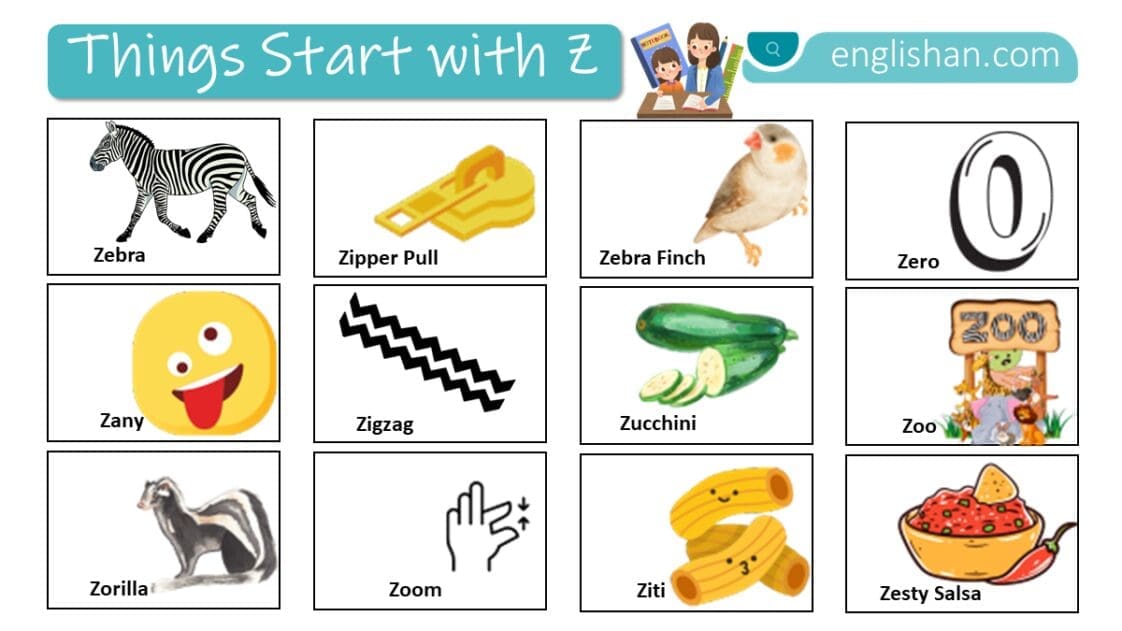 Things Starting with Z with Pictures • Englishan