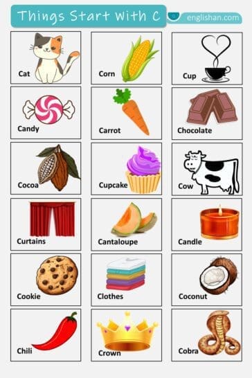 Things Start with C with Pictures • Englishan