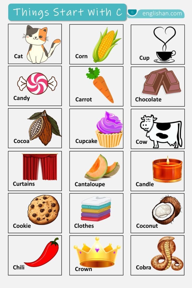 Things Start with C with Pictures • Englishan