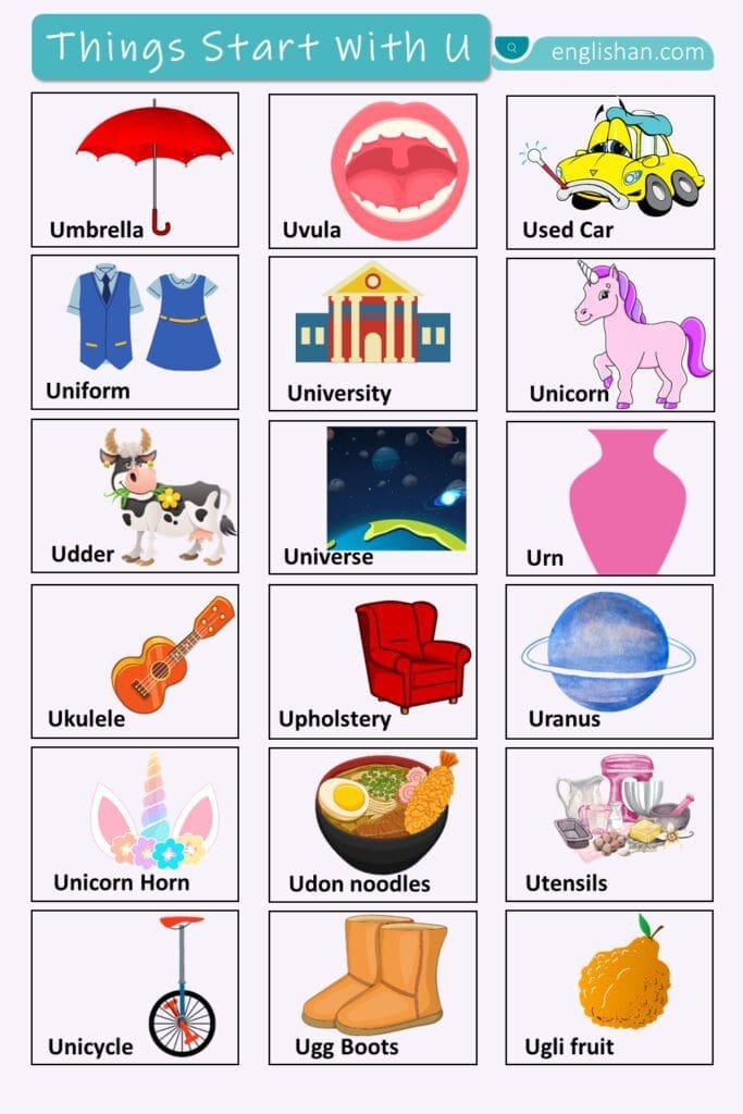 Things Start with U with Pictures • Englishan