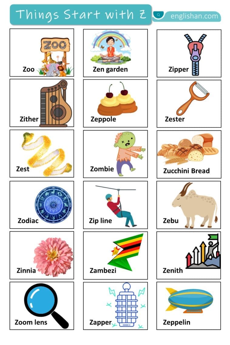 Things Starting with Z with Pictures • Englishan