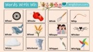 Words with Wh with Their Pictures • Englishan